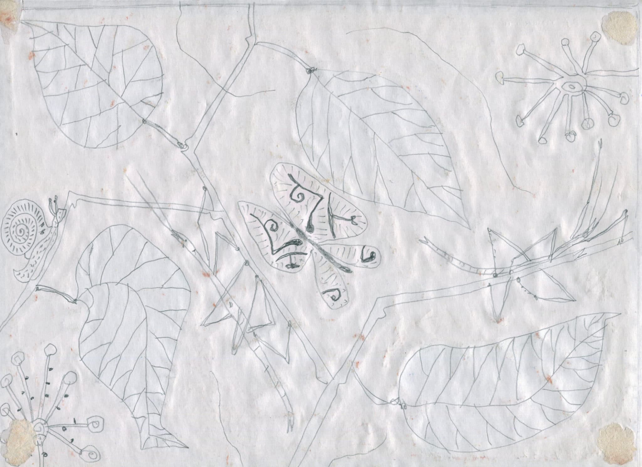 Papillon - Michel Debiève - Monotype - 1972 | CHOUETTE Galerie